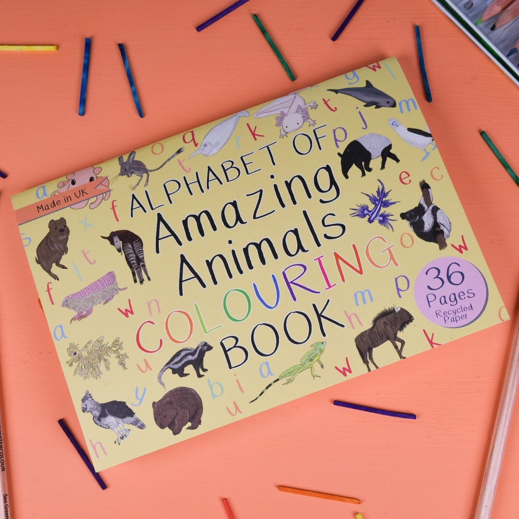 Alphabet Of Amazing Animals Colouring Book – Little Terras