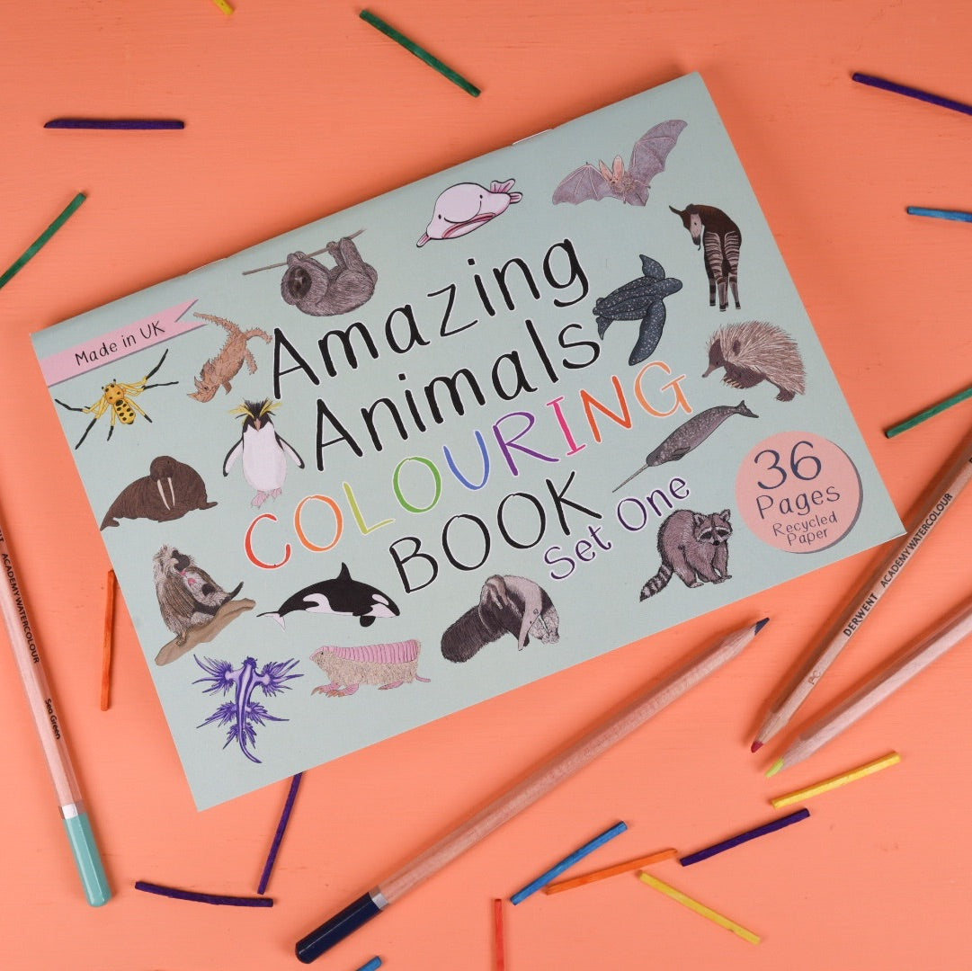Amazing Animals Set One Colouring Book – Little Terras Ltd