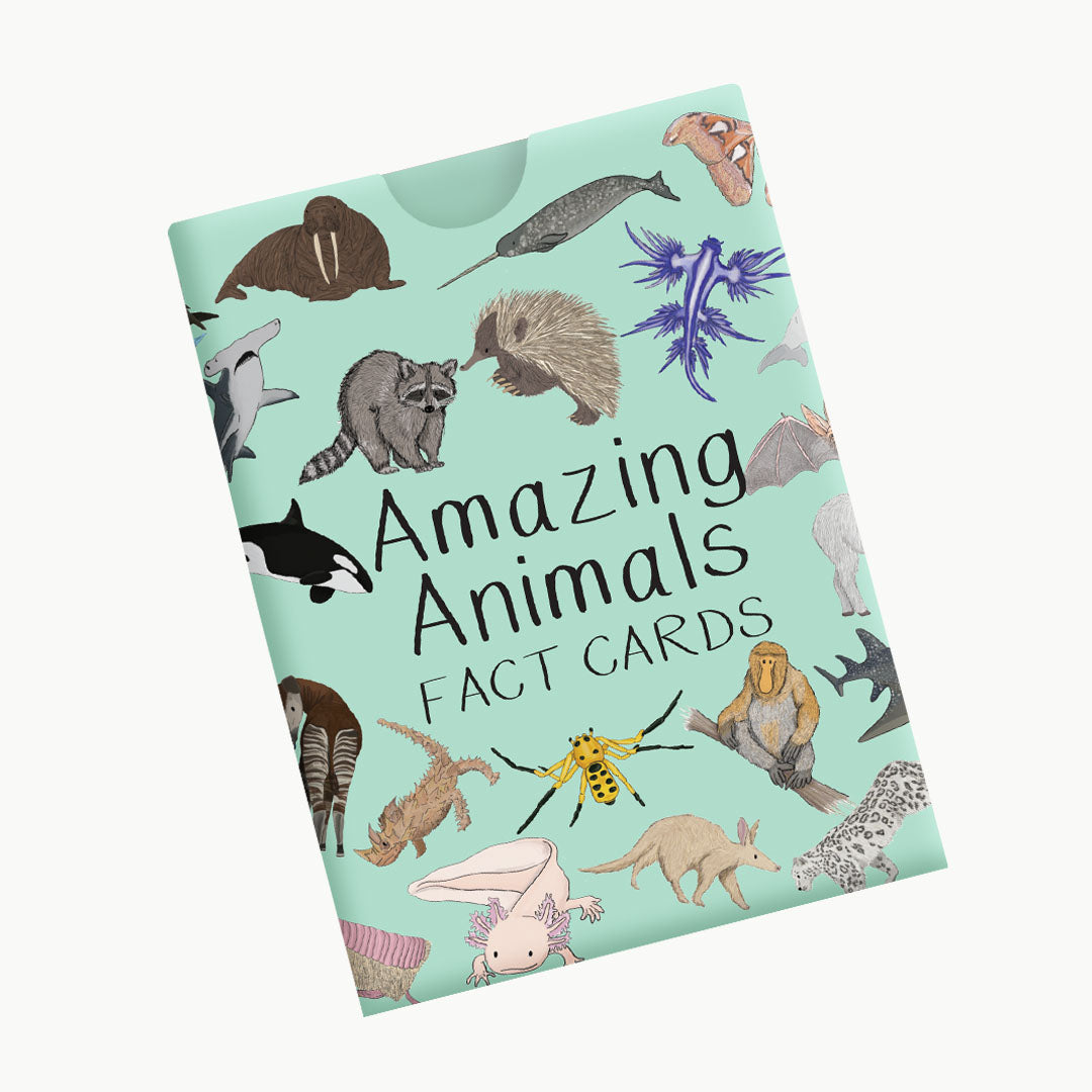 Amazing Animals Fact Cards Set One – Little Terras Ltd
